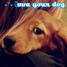 Avatars dogs 203044 Avatar