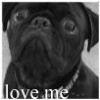 Avatars dogs 209672 Avatar