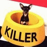 Avatars dogs 315629 Avatar