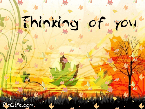 Thinking Of You Animations