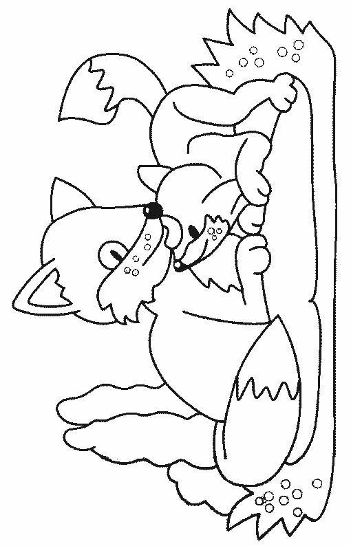 Coloring Page - Fox animals coloring pages 3
