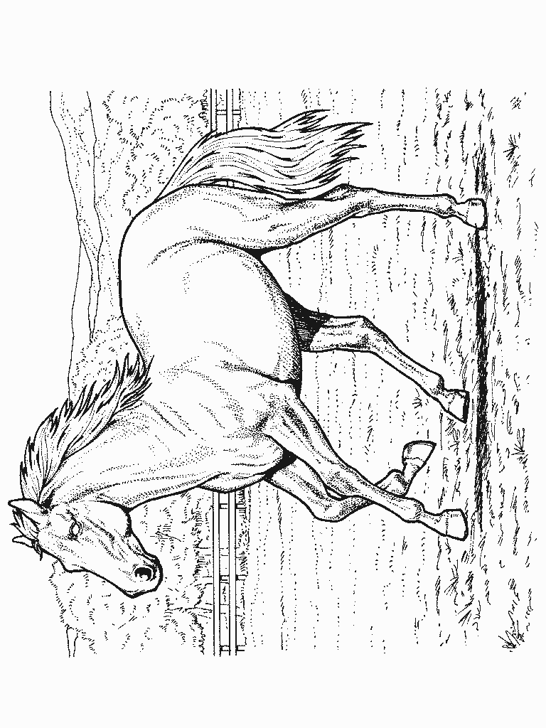 Coloring Page - Horse animal coloring pages 10