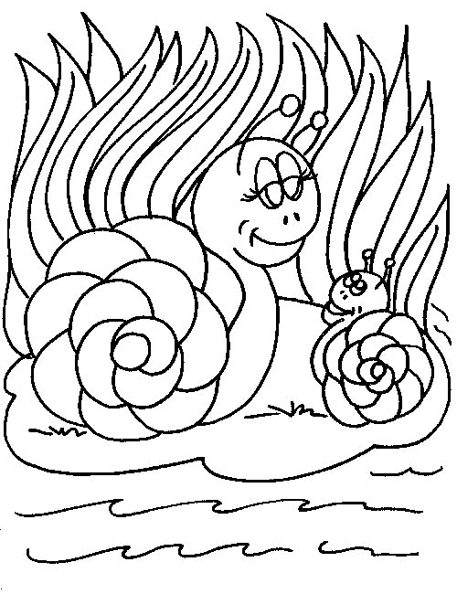 Coloring Page - Snail animal coloring pages 6