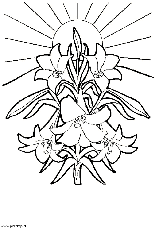 Coloring Page - Funeral coloring pages 26
